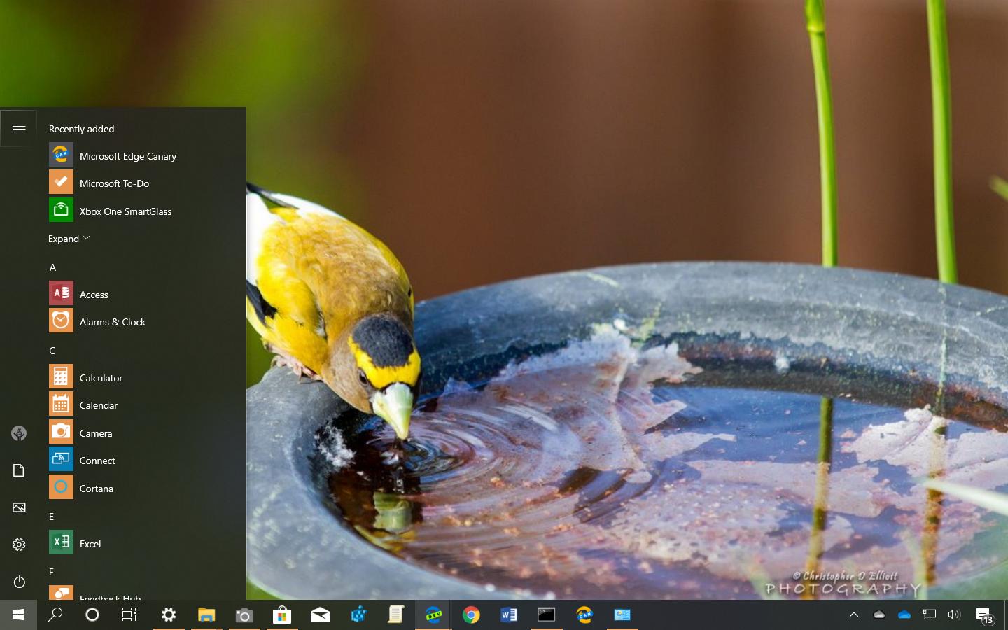 Pacific Northwest Birds theme for Windows (download) - Pureinfotech