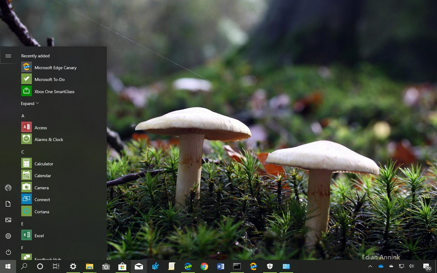 Mushrooms theme for Windows 10 (download) - Pureinfotech