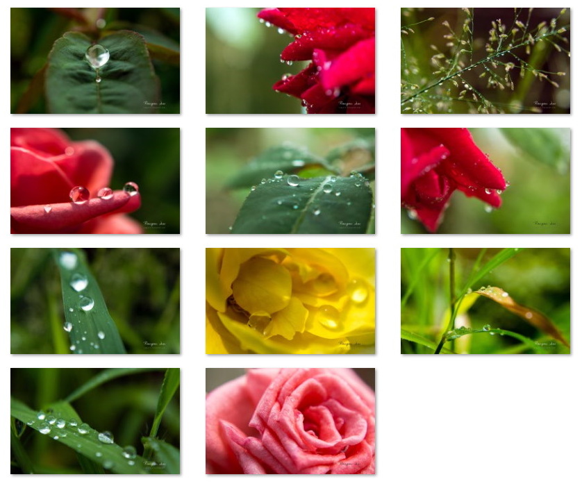 Raindrops theme for Windows 10 (download) - Pureinfotech