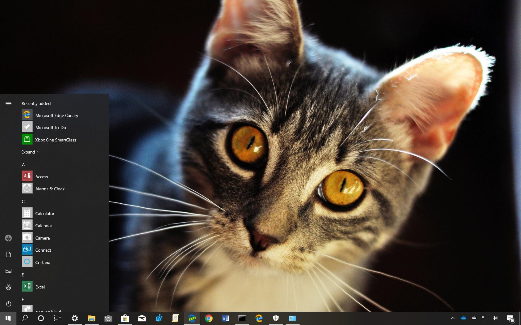 Community Showcase Fauna 2 theme for Windows 10 (download) - Pureinfotech