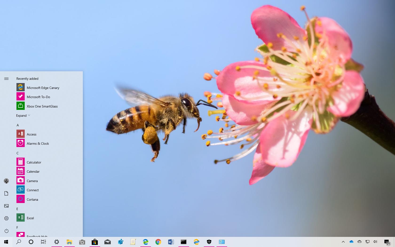 Birds, Bees, and Butterflies theme for Windows 10 (download) - Pureinfotech