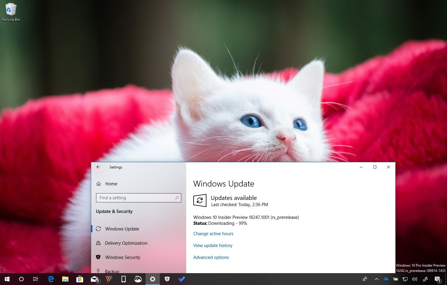 Windows 10 build 18247 (19H1) releases with improvements - Pureinfotech