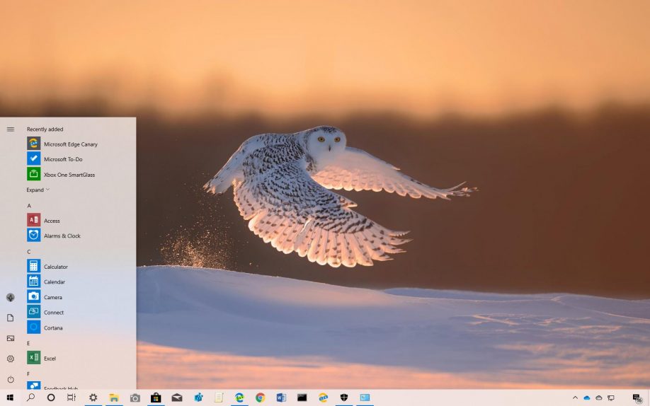 Polar Animals theme for Windows 10 (download) • Pureinfotech