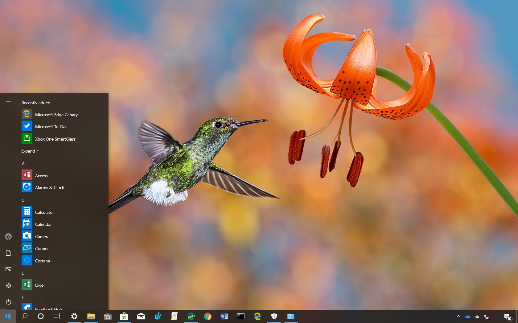 Birds Desktop Theme Windows 10