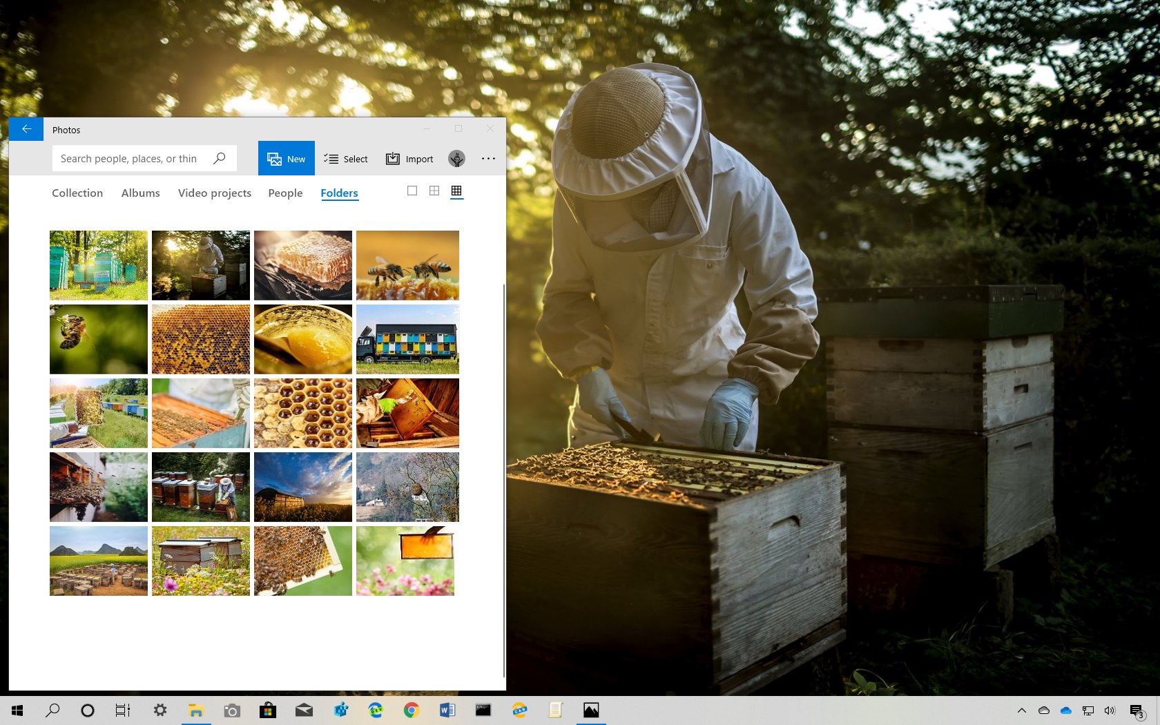 Explore Beekeeping theme for Windows 10 (download) - Pureinfotech
