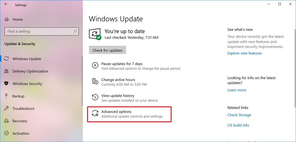 How to prevent Windows 10 from installing version 1909, November 2019 ...