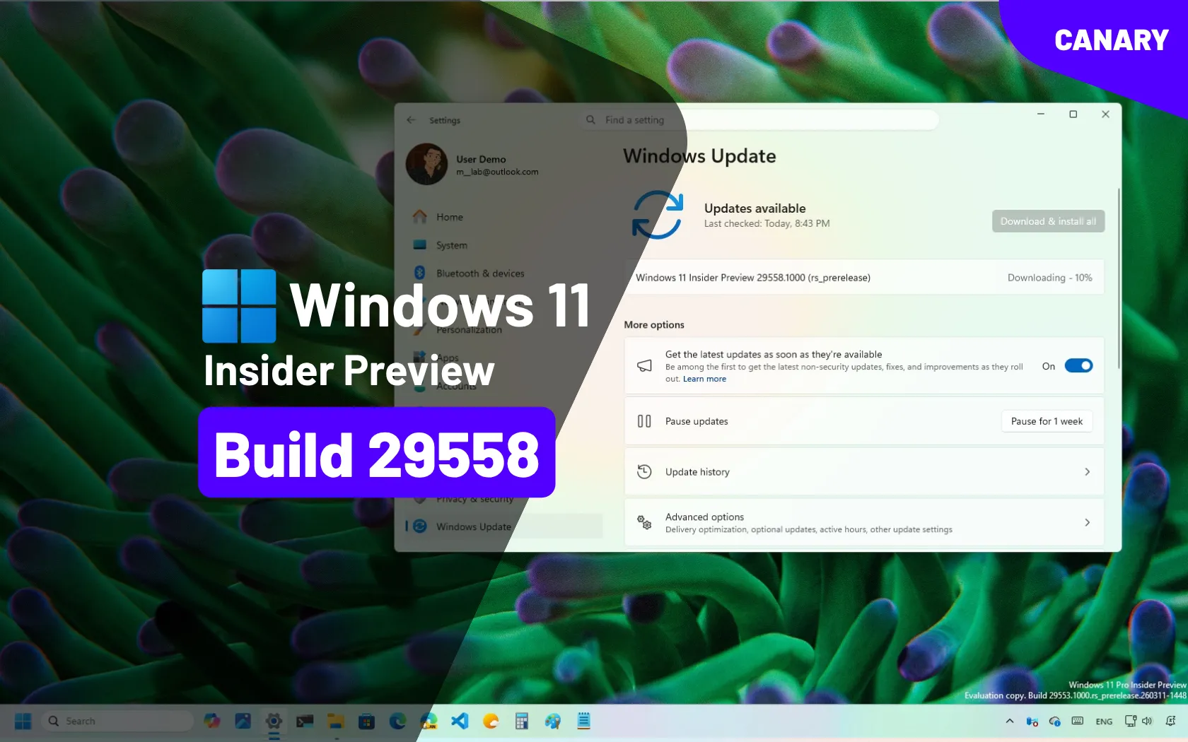 Builds 29558 and 28020.1797 for Windows 11 arrive in the Canary Channel ...